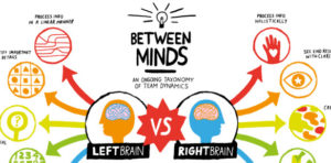 Communication Breakdown: Left Brain vs. Right Brain